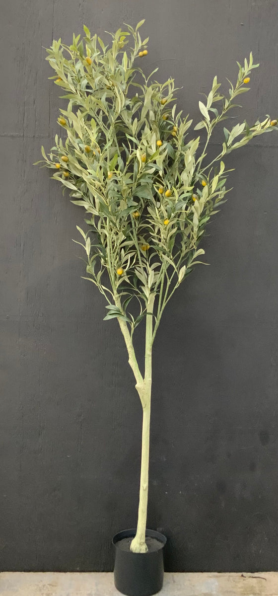 5ft Premium Artificial Olive Tree – The Plant Stand of Arizona
